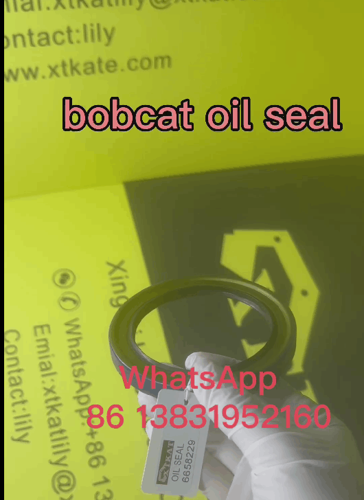 6658229 - Bobcat oil seal series - Xingtai Kate, Xingtai Kate seals ...